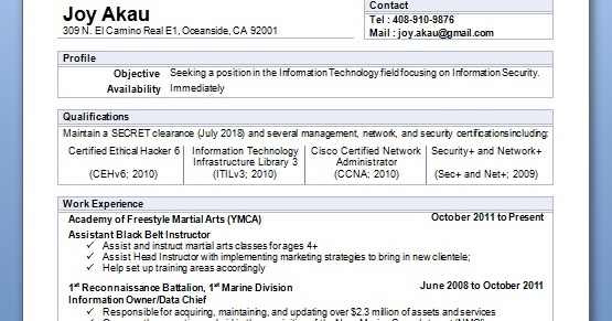 Assistant Black Belt Instructor Resume Format in Word Free Download