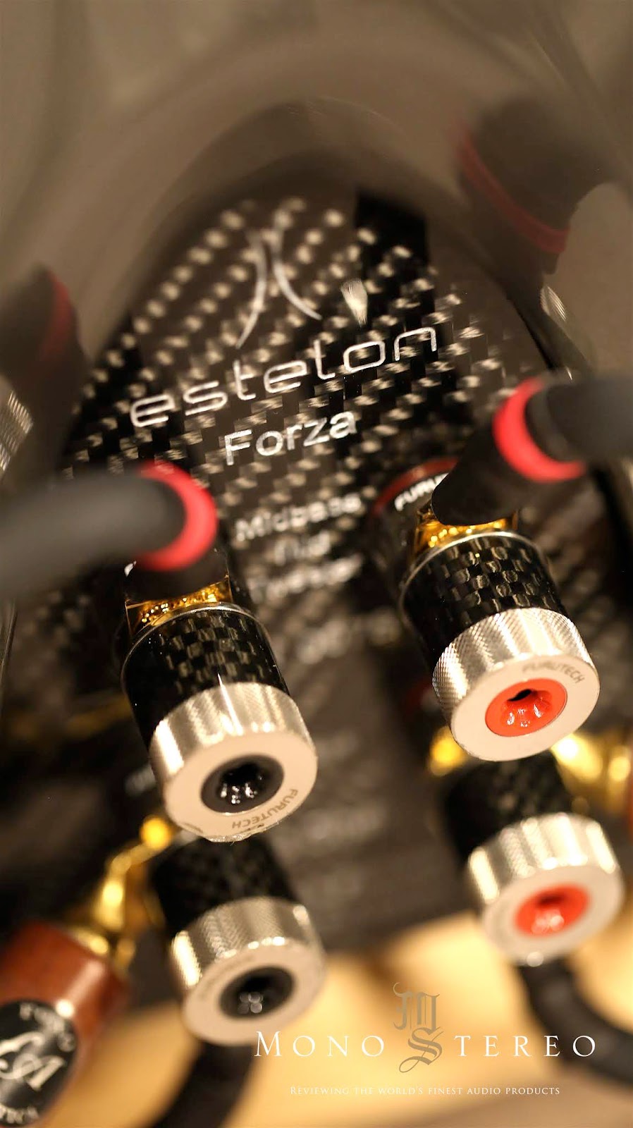 Estelon Forza in a Dark Silver Liquid gloss finish – M & S | Ultimate High-Fidelity