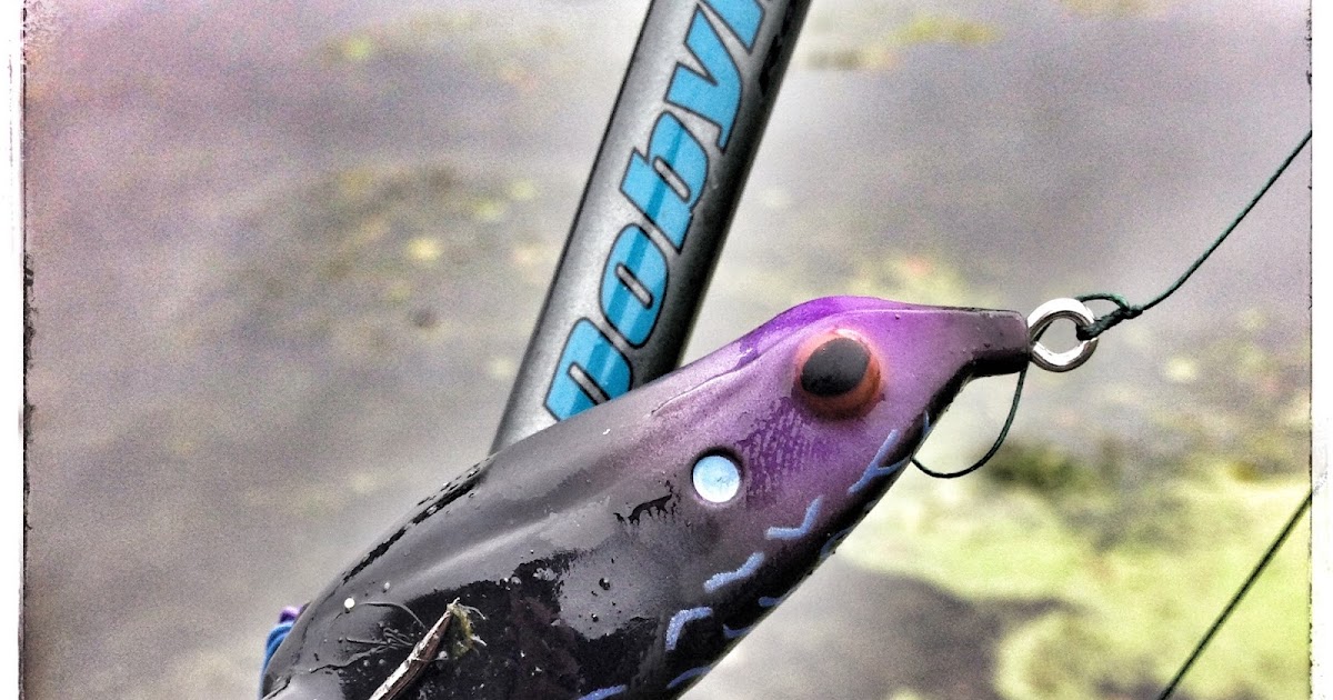 Bass Junkies Frog Pond: Reaction Innovation Swamp Donkey Review