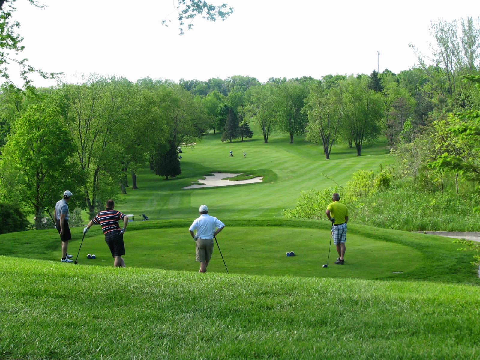 Whitevale Golf Club: Men's Opening Field Day
