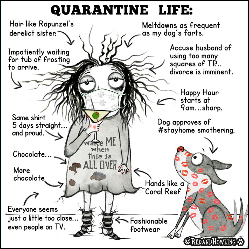 Mystery Fanfare: Cartoon of the Day: Quarantine Life