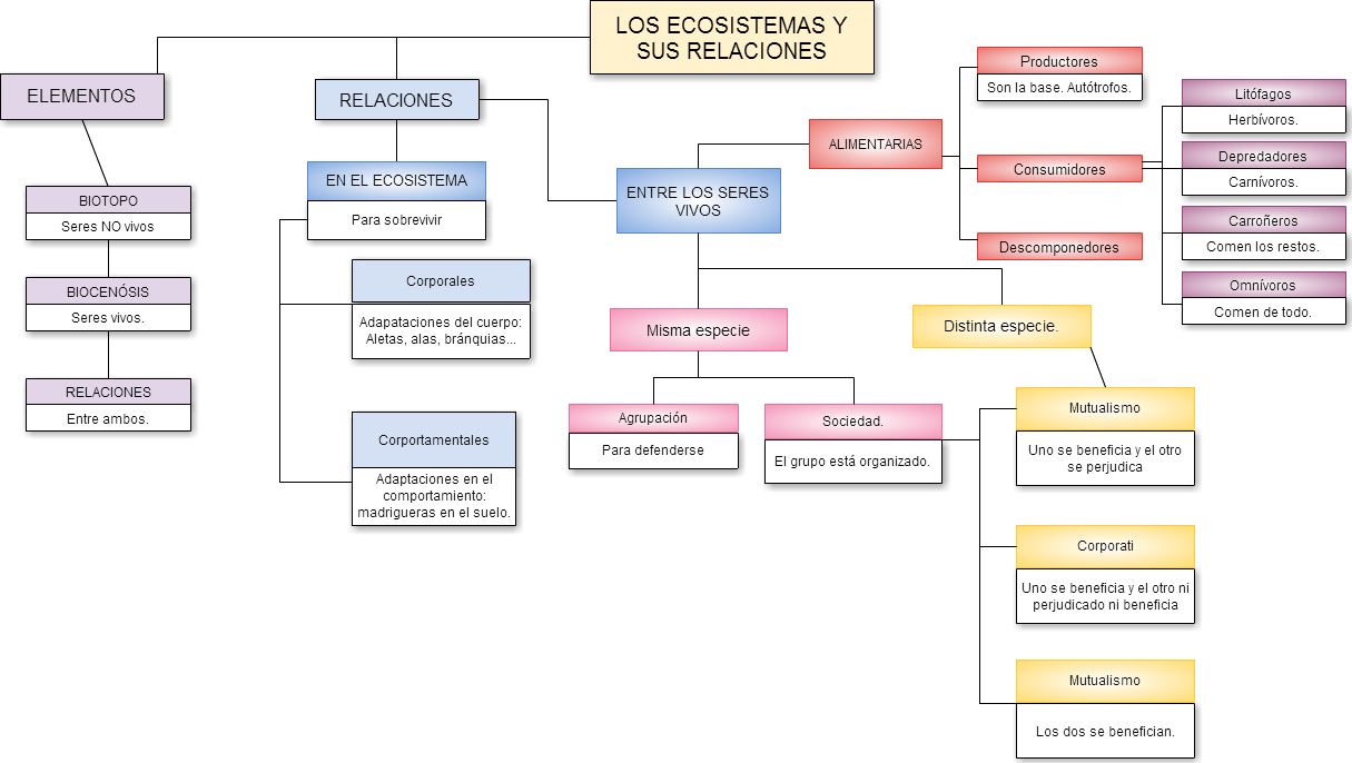 Mi blog de Sexto: ESQUEMA DEL TEMA 4: LOS ECOSISTEMAS.