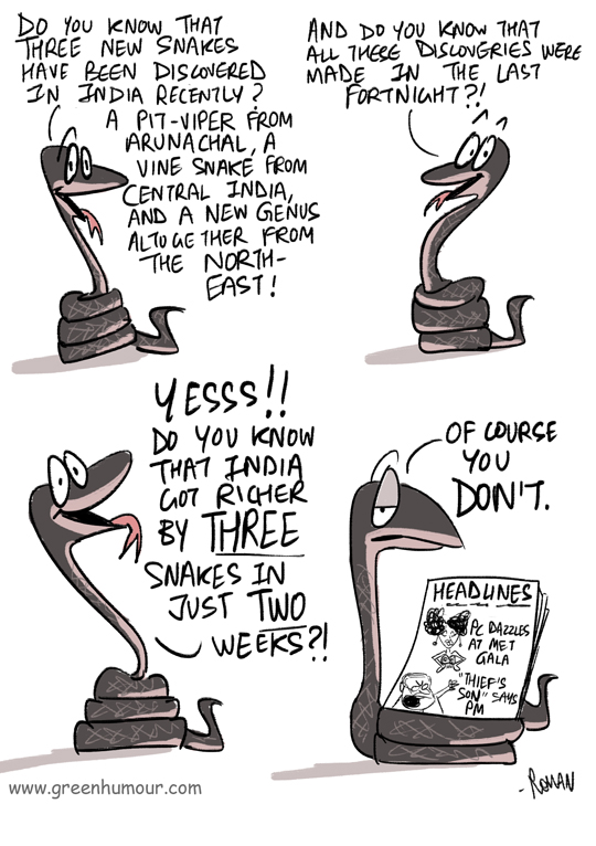 Green Humour: New Snake Discoveries 2019