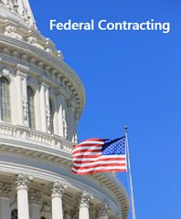 SMALL BUSINESS FEDERAL GOVERNMENT CONTRACTING ("Smalltofeds")