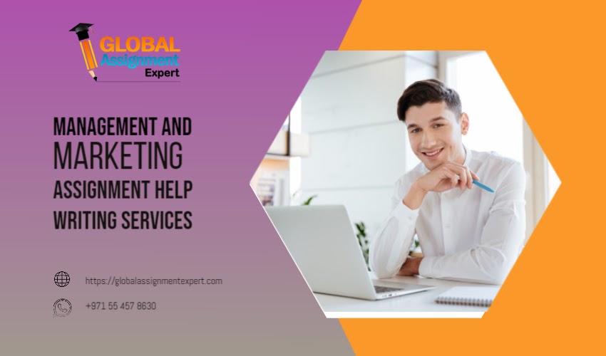 Management Assignment Help writing Services