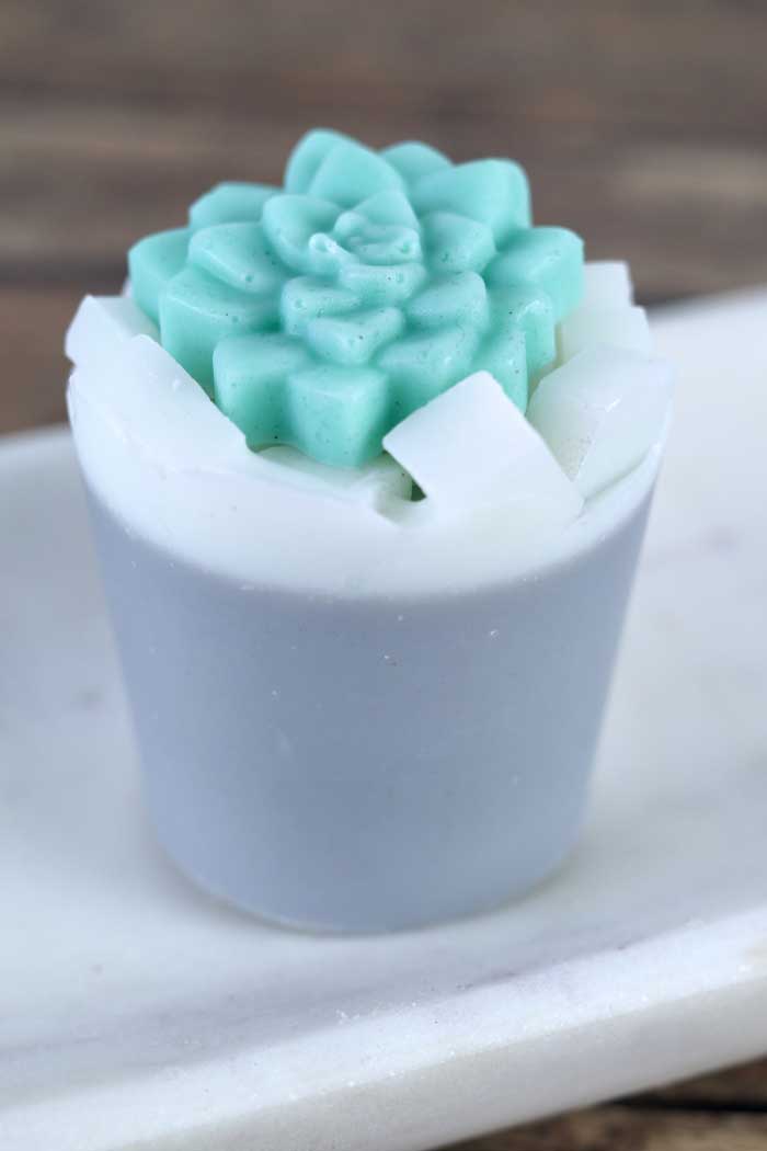 How to Make Succulent Soap With Melt and Pour Soap - Everything Pretty