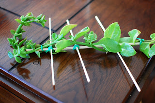 Ancient Hearth: Making an Easter Tree