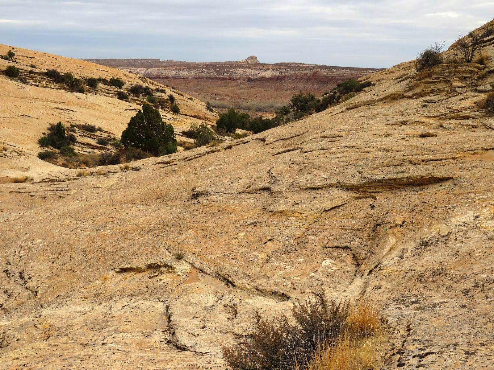 Around the Bend Friends ®: Procession, Wolfman and Sand Island Panels ...