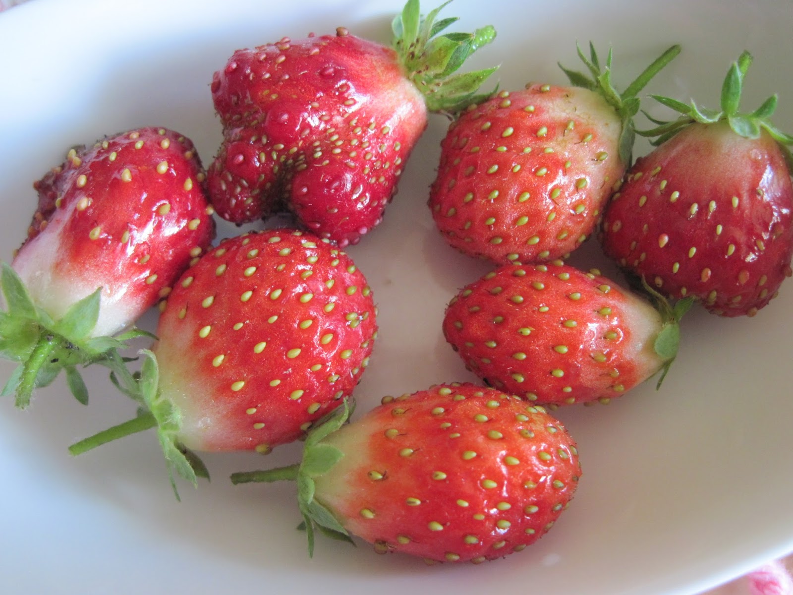 Beautiful Little Berries