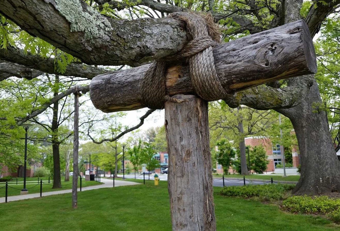 Why We Need Support Systems - Robin Kramer Writes