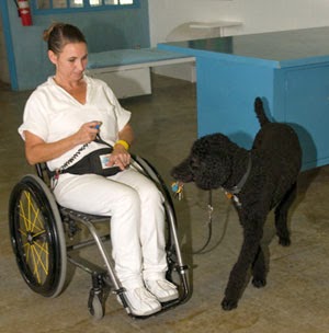 The Backgate Website: New York Times Features TDCJ Patriot Paws Program