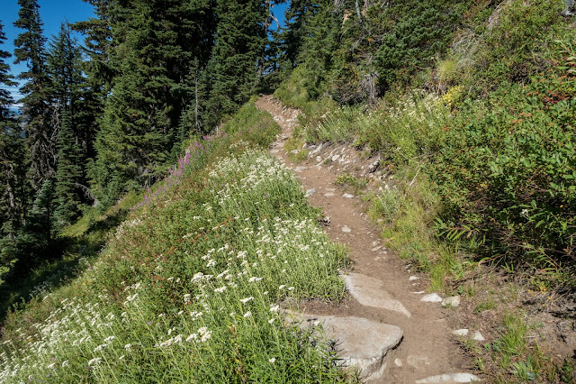 Eric's Hikes: Goat Rocks Wilderness: Goat Lake Loop and Old Snowy