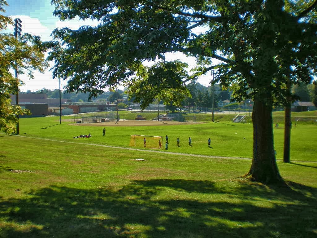 Urban Landscape, Native Landscape: Brighton Playfield