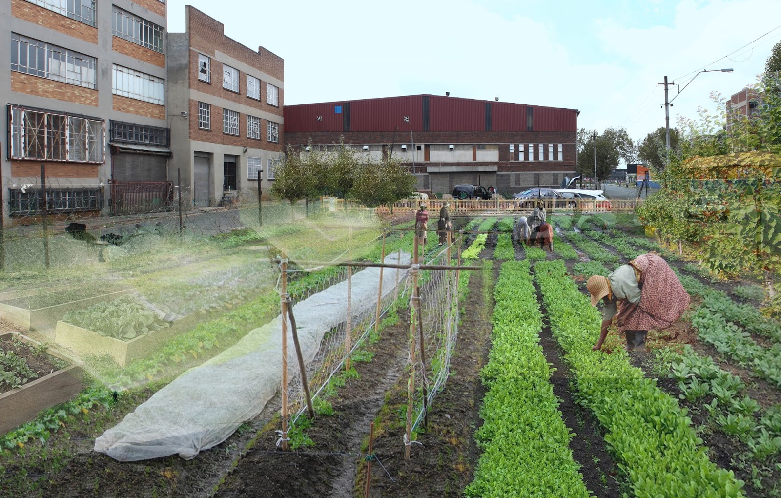 JARRYD BATES UNIT 2 ARCHITECTURE: URBAN FARM RENDER