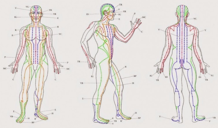 Cómo estirar todos los meridianos de tu cuerpo en 5 minutos ...