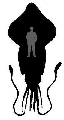 Domínio Brambilla: Monstros Existem - Conheça a Incrível Lula Colossal