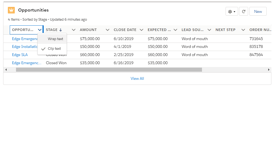 Salesforce World: Enhanced Related List