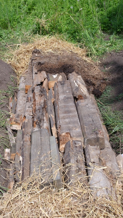 permakultuur: hügel kultuur(kuhikpeenar)