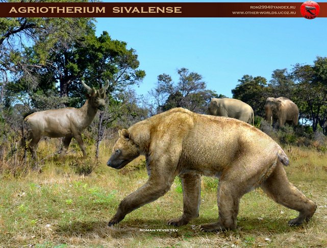 Escenarios prehistóricos: Agriotherium