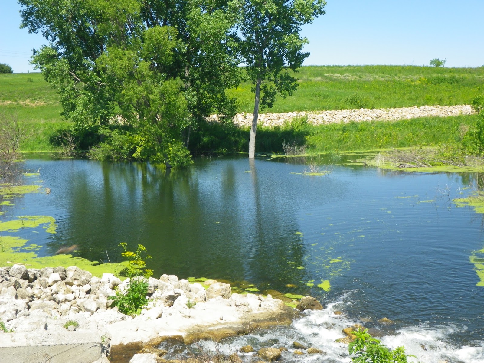 The Lost Grove Lake Mapping Project: It's Getting Closer To Full