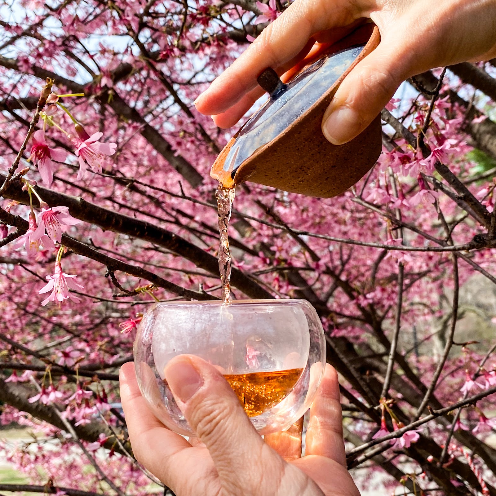 Tea Happiness- A blog on tea drinking, tea history, tea industry ...