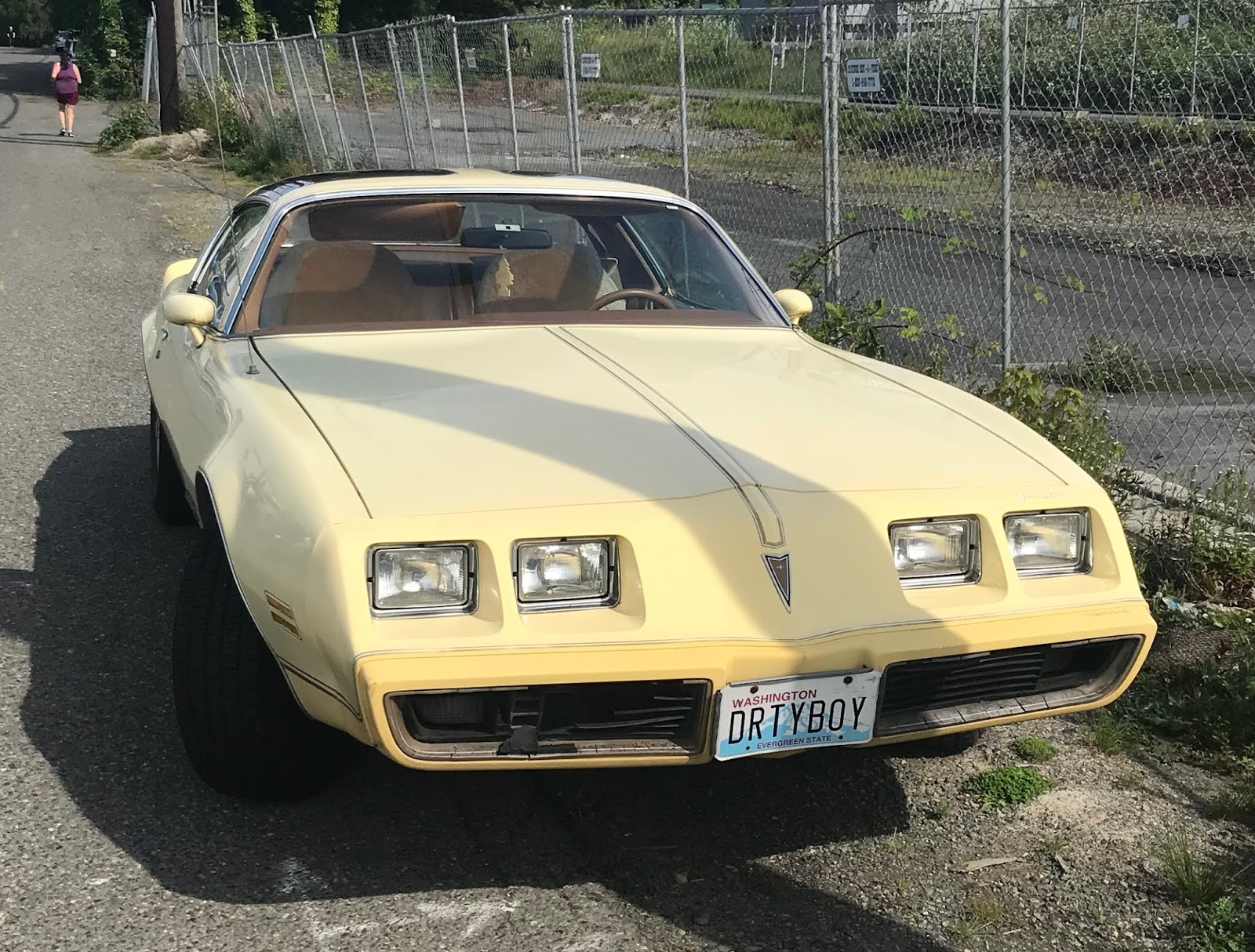 Seattle's Old Cars: 1980 Pontiac Firebird Yellow Bird