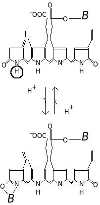 BIOINFO: Kajian Fitokrom