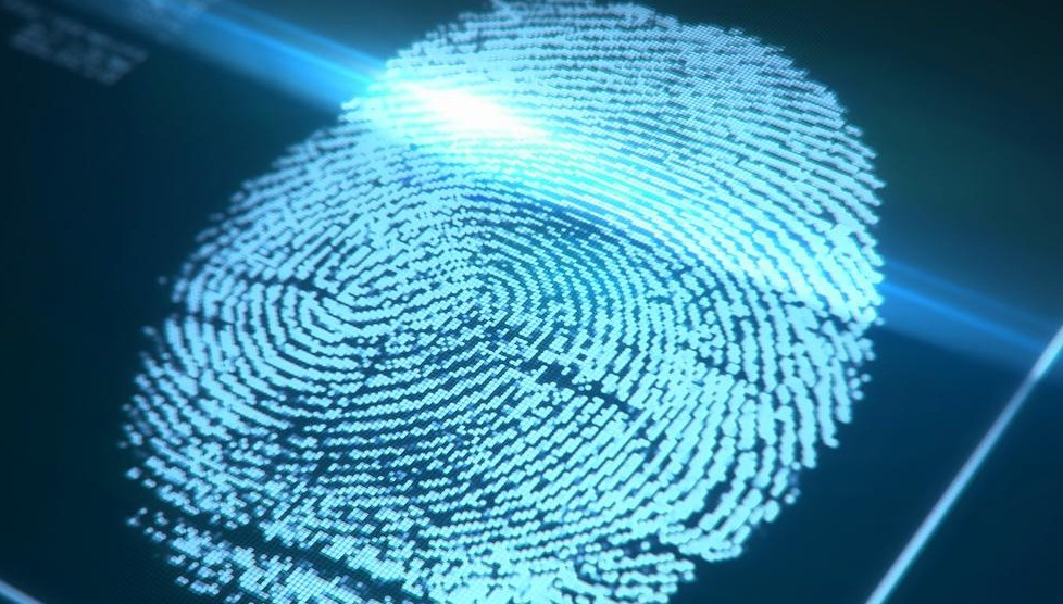 Global Citizen News: Biometric ID2020 on the Blockchain with Microsoft