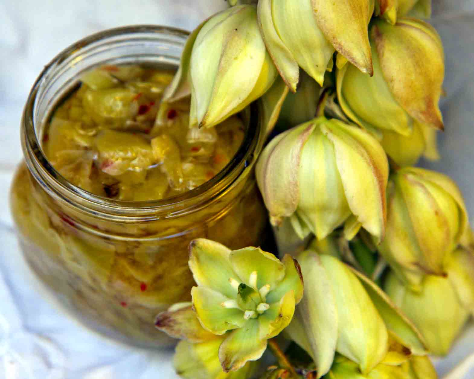 Wild Antipasti for an Italian Summer Theme Dinner (recipes for ...