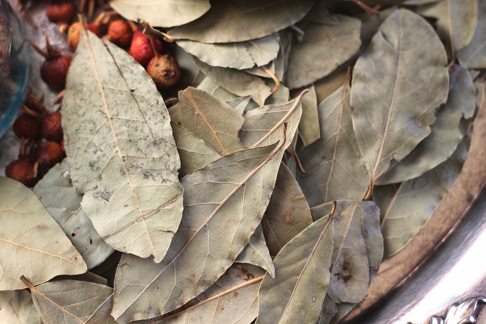 Where Your Treasure Is: Fall Favorites