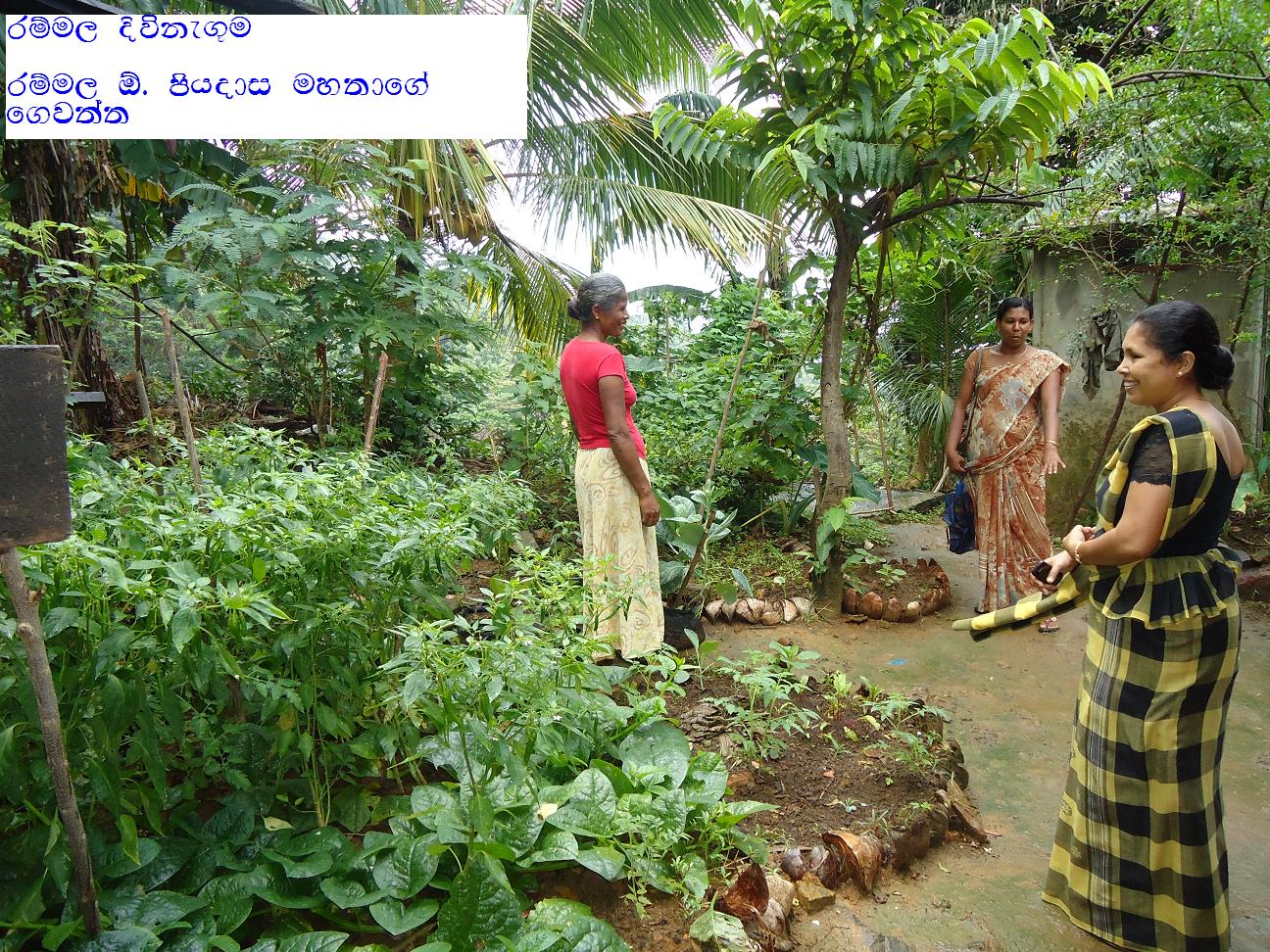 Rammala Divi Neguma: ගෙවත්තක් බලමු