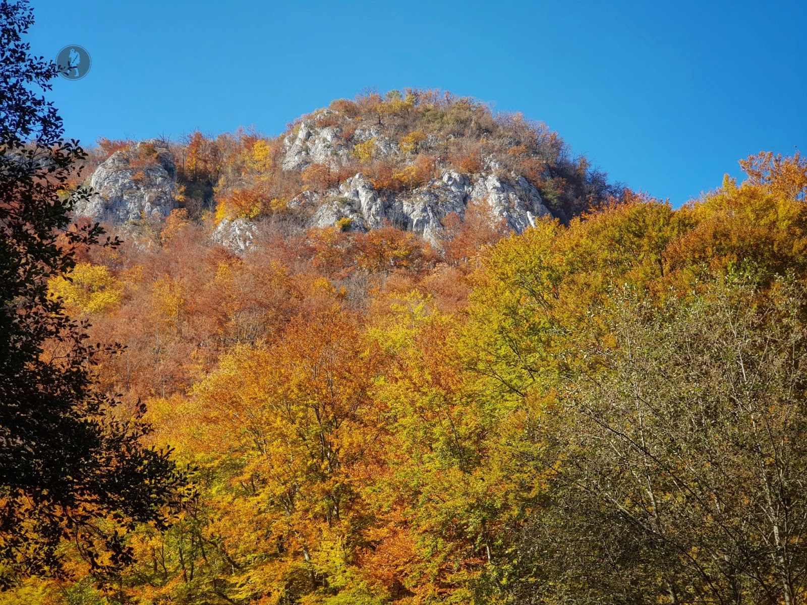 Cheile Vârghișului - Traseu în Munții Perșani, județul Harghita ...