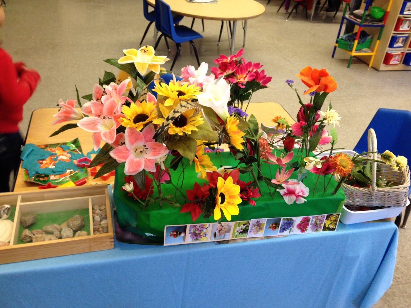 Flower Shop Dramatic Play Free Printables at Darcy Parnell blog