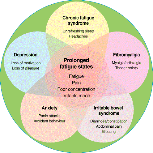 All Categories - herebload