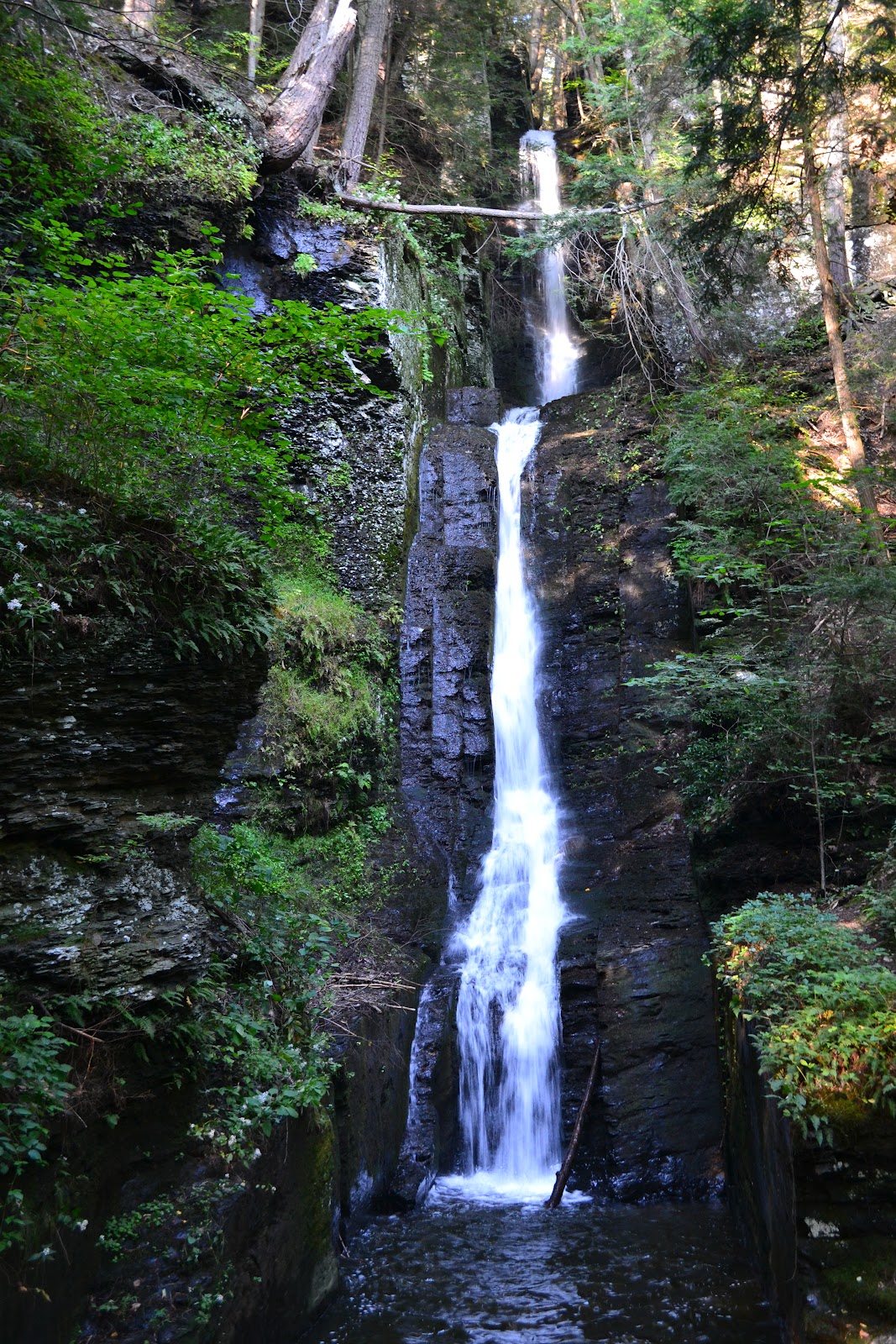 Nanda & Nathan The Travellers: Dingmans Falls