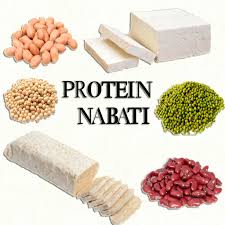 Kebutuhan Protein Yang Harus Dijaga Untuk Ayam