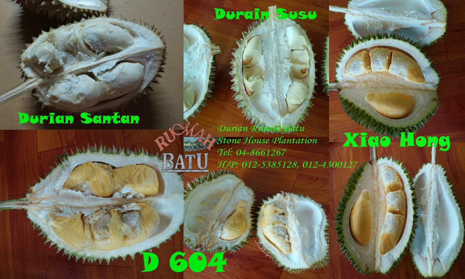 2015 Balik Pulau Durian Season