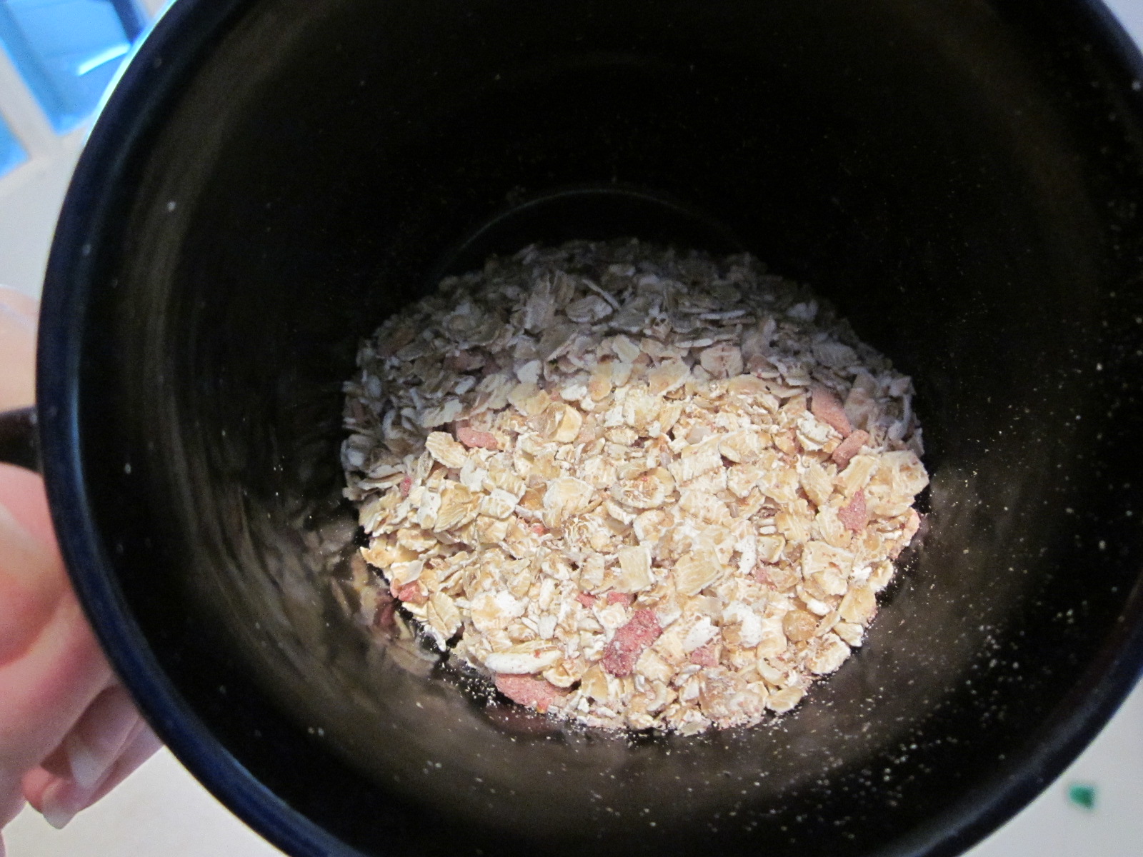 No gluten? My goodness!: Oatmeal is so gross! But so good for you. But ...