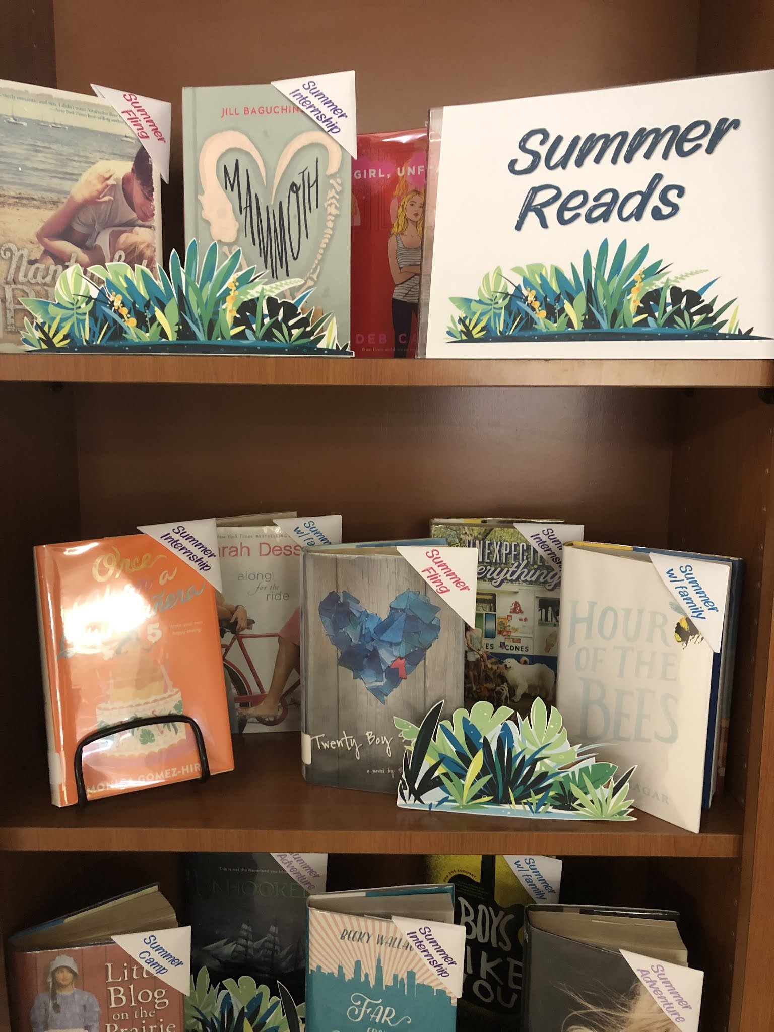 Summer Reading Teen Book Display - The Learning Curve