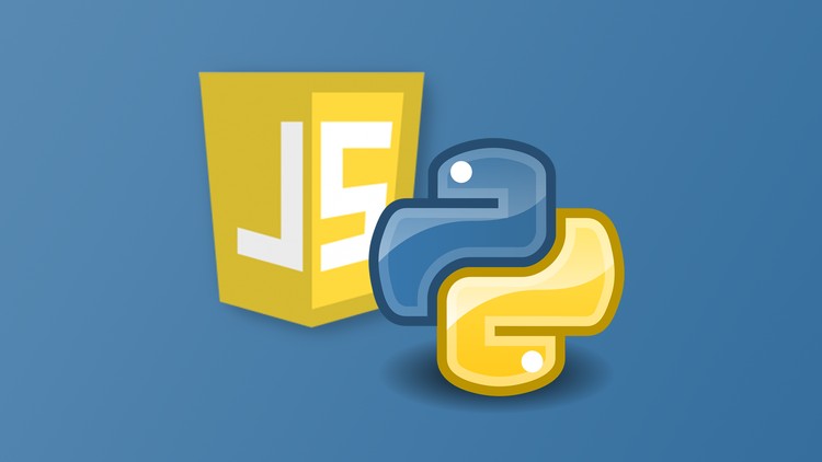 Python Programming Courses | Savvy Python Programmer