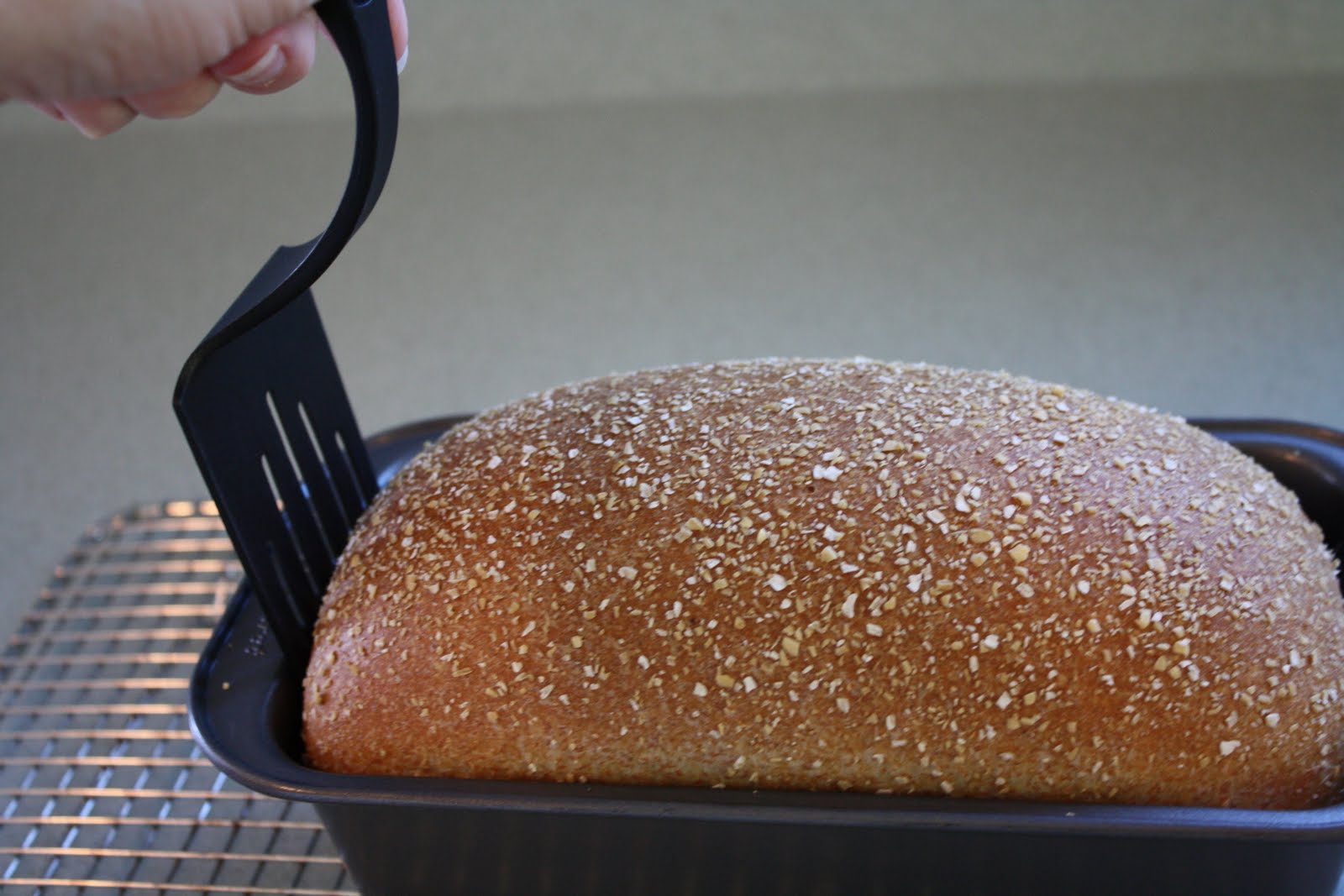 Recipes from Michelle's Kitchen: Whole Wheat Bread- Tutorial
