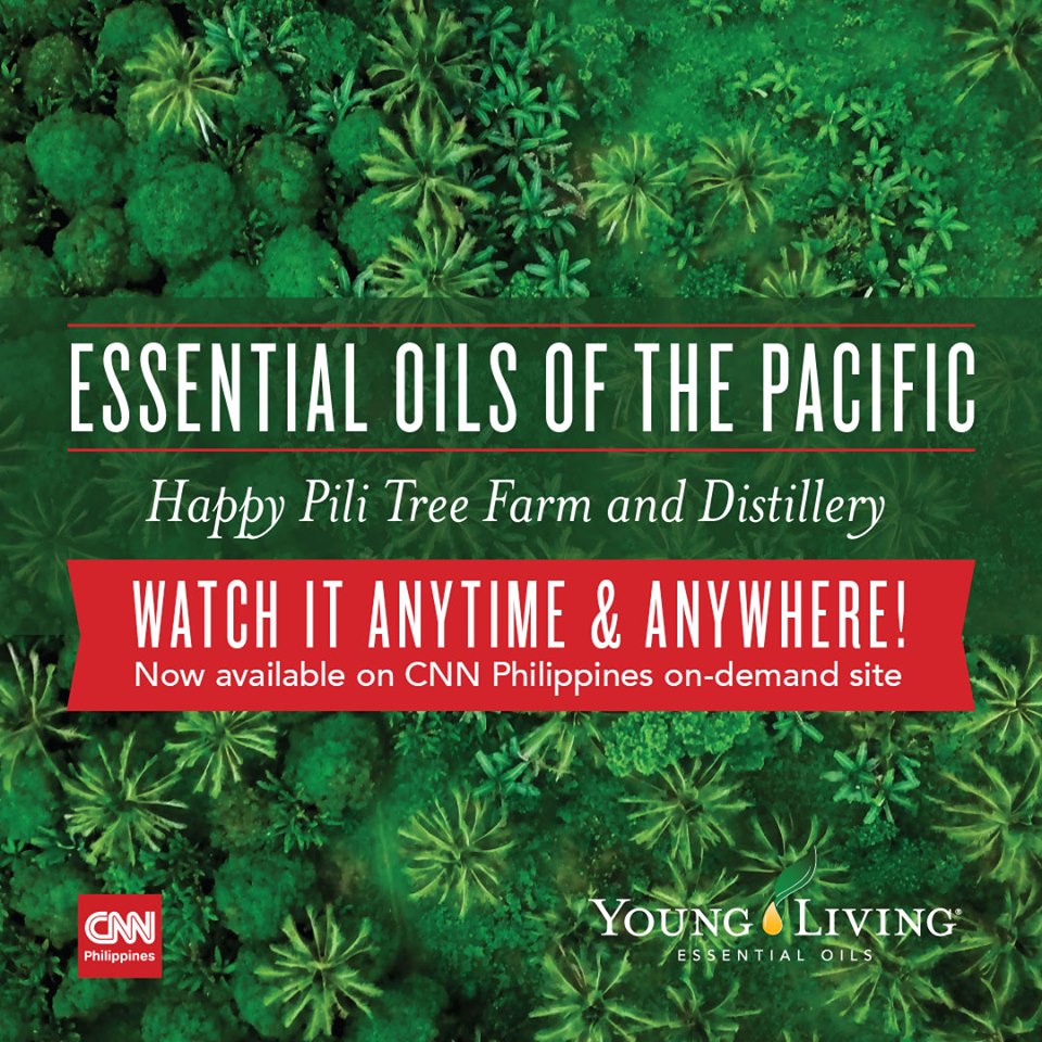 CNN PH Uploads Happy Pili Tree Farm Feature