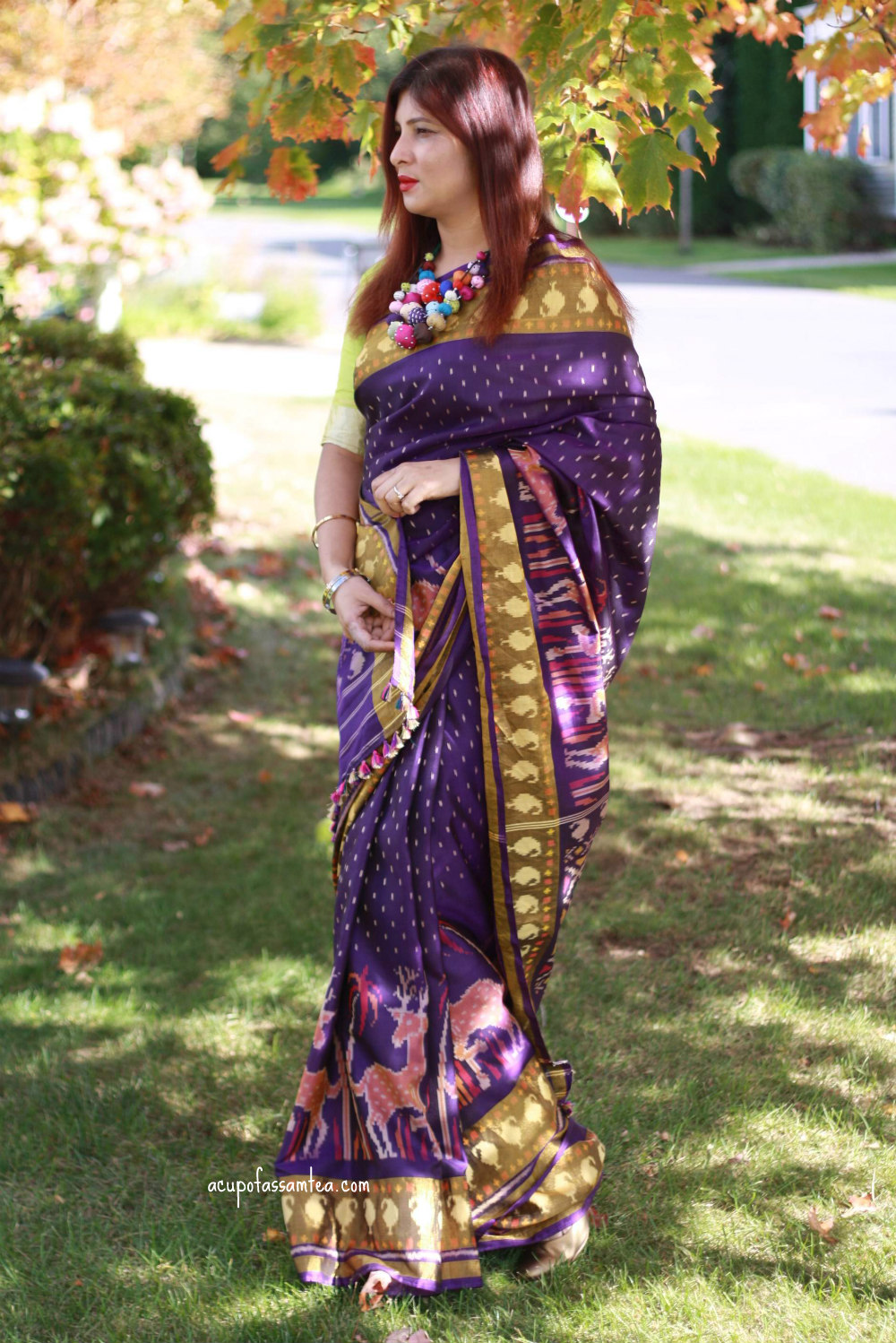 Indian festive look 4