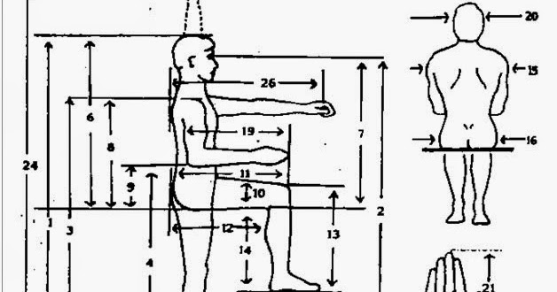 Ergonomi: Antropometri