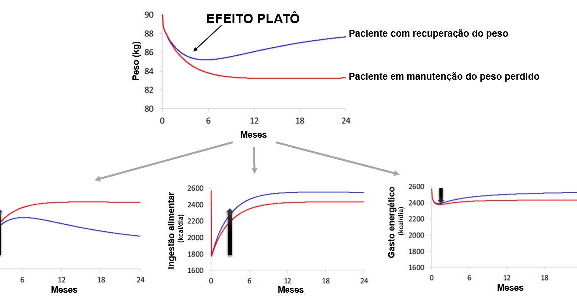 Blog da SBEM-RS: Efeito platô – você já ouviu falar?