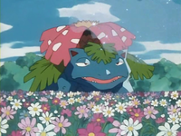 003#Venusaur