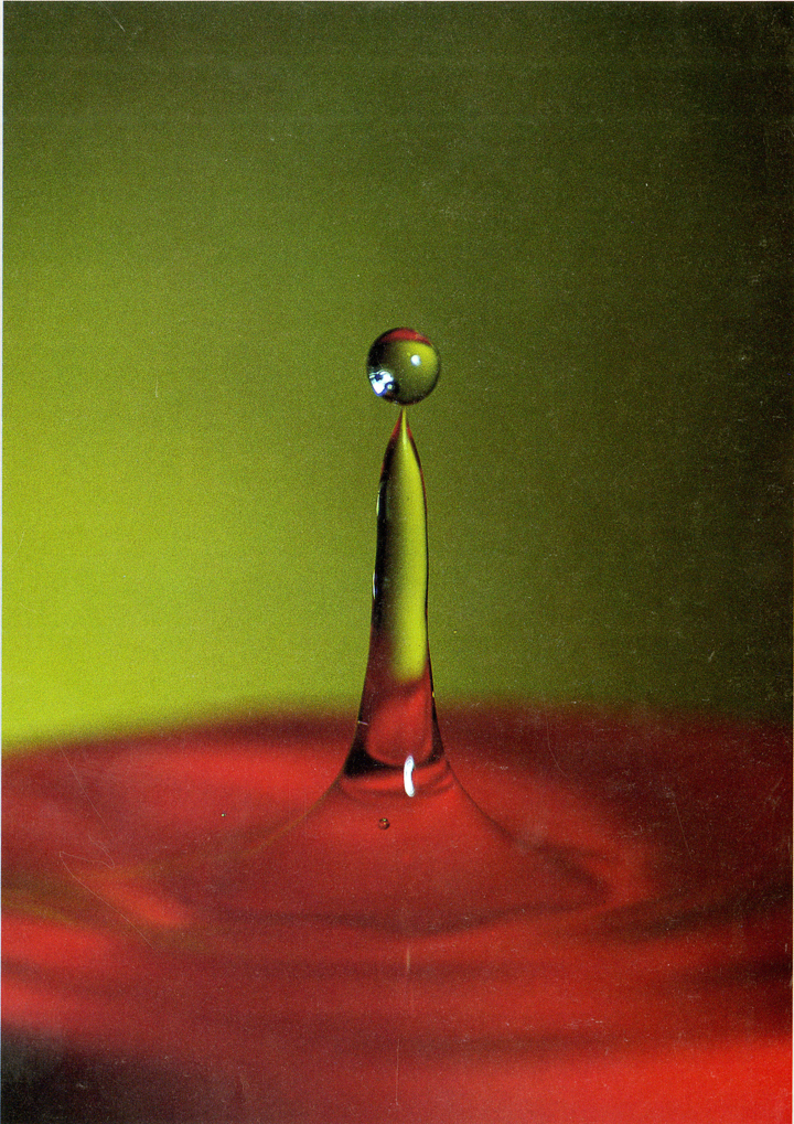 Anthony Luke's not-just-another-photoblog Blog: Photographer Profile ...