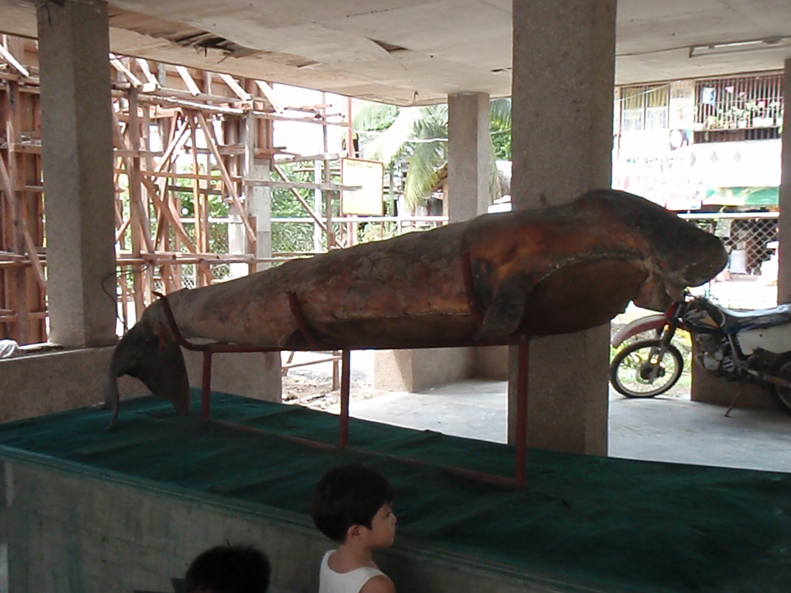 Hagimit Falls & Kaputian Beach, Samal Island | Noelizm