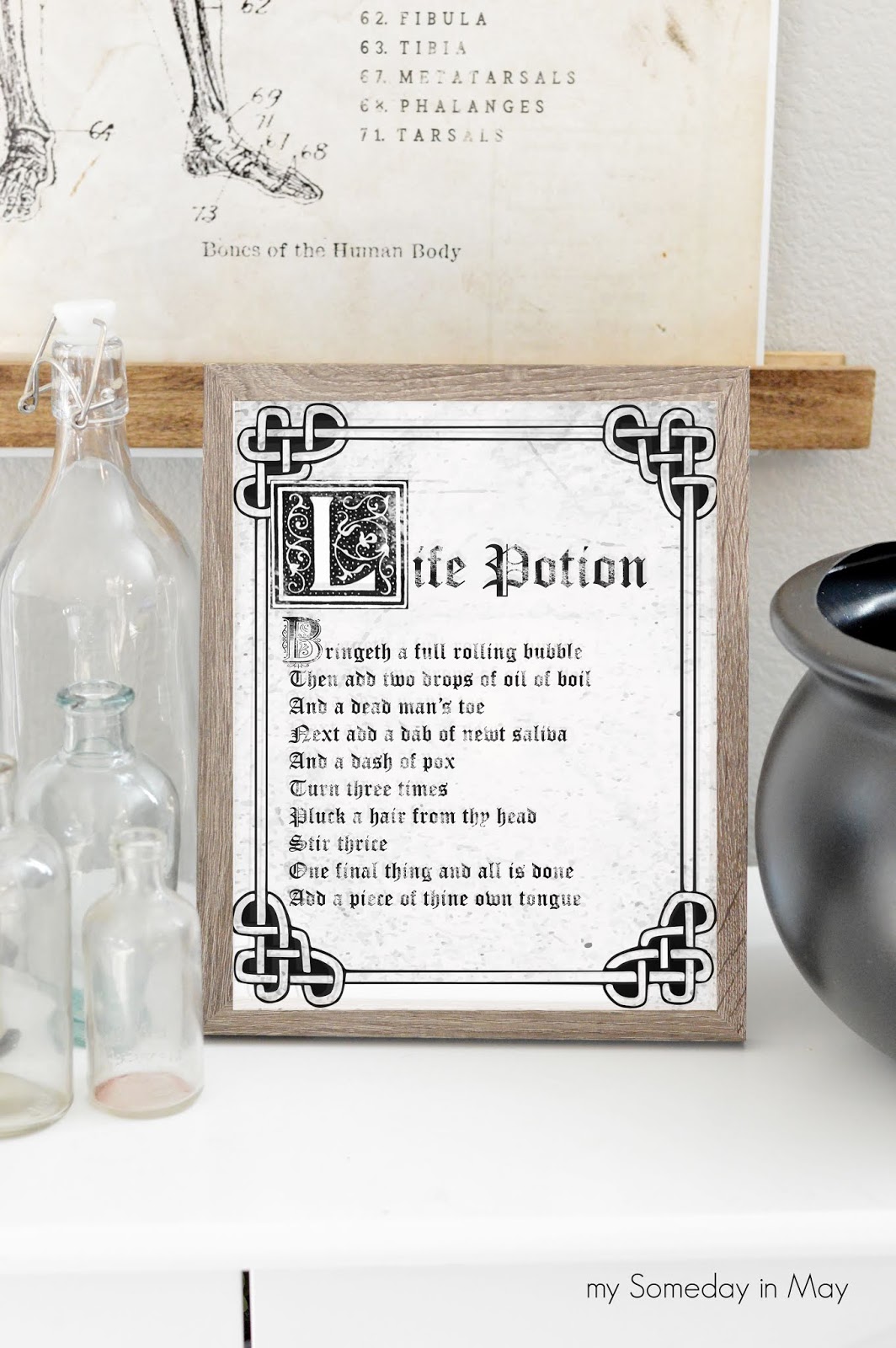 Potion Printable - My Someday in May