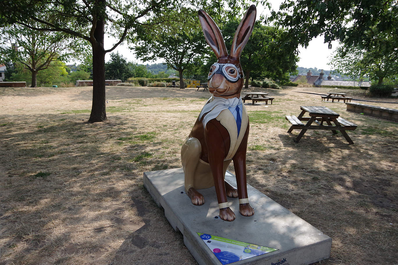 Birds of the Heath: Go Go Hares, Norwich and a Black Redstart